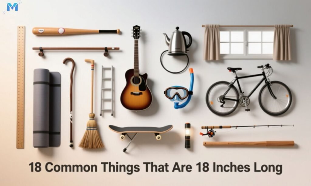 18 Common Things That Are 18 Inches Long