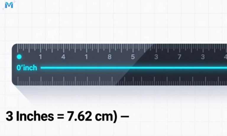 How Long Is 3 Inches? 11 Common Things That Are Three Inches Long