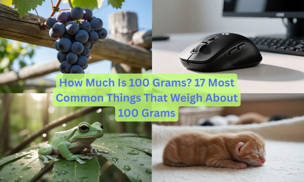 How Much Is 100 Grams? 17 Most Common Things That Weigh About 100 Grams