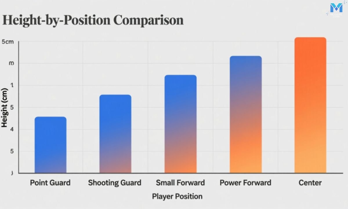 The Average Height of NBA Players: A Breakdown by Position